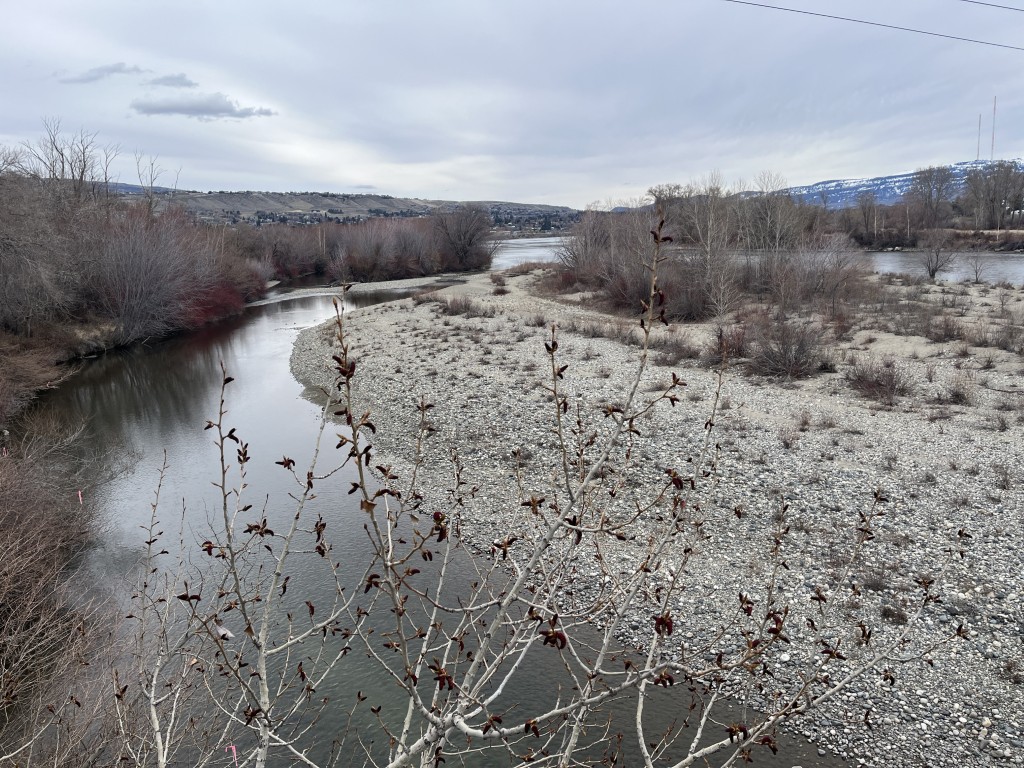 Apple Capital Recreation Loop Trail — Washington Trails Association