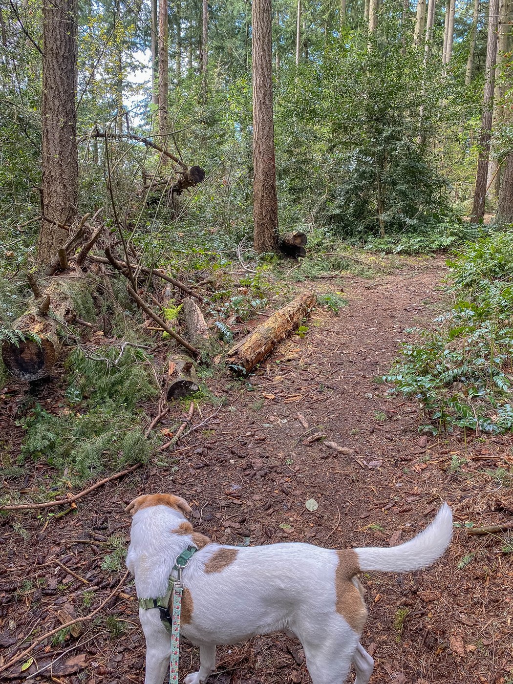 Hamlin Park — Washington Trails Association
