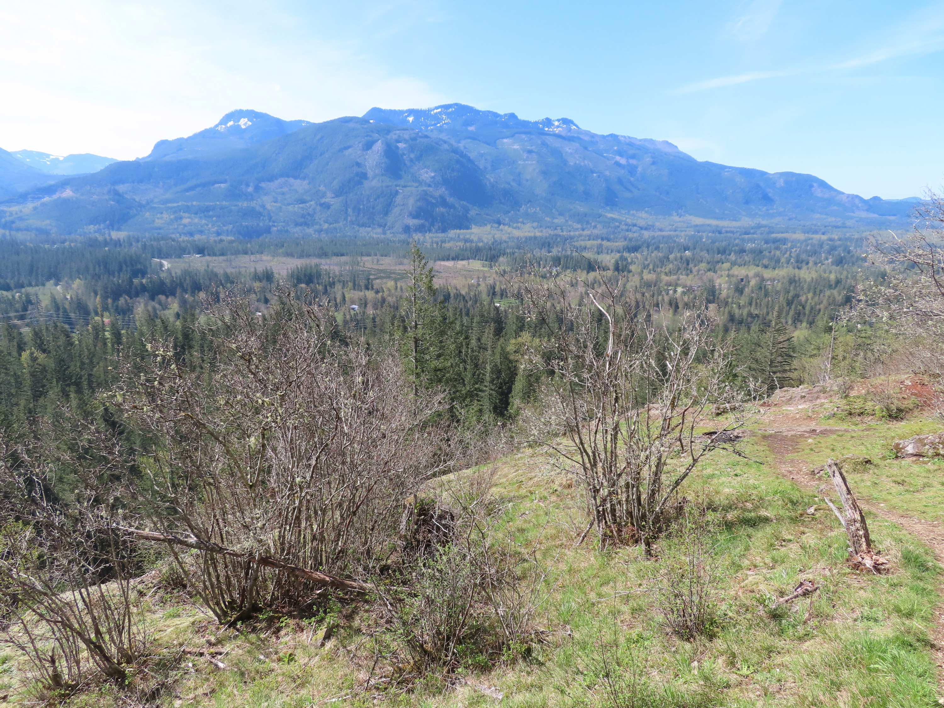 Reiter Foothills Forest Trails — Washington Trails Association