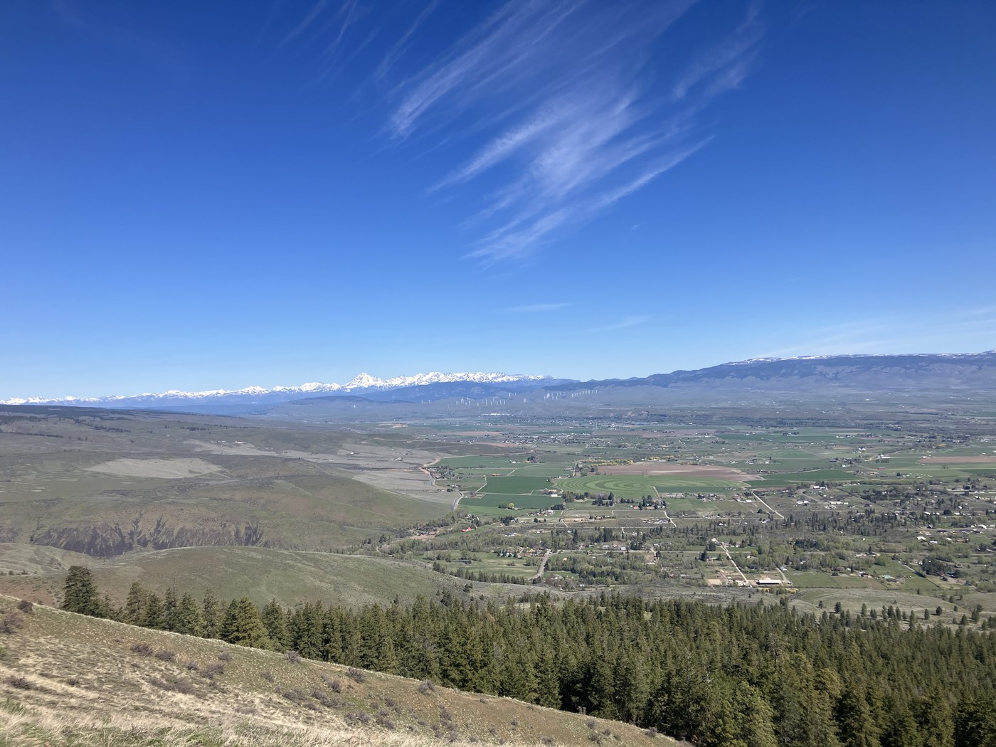 Manastash Ridge - Westberg Trail — Washington Trails Association