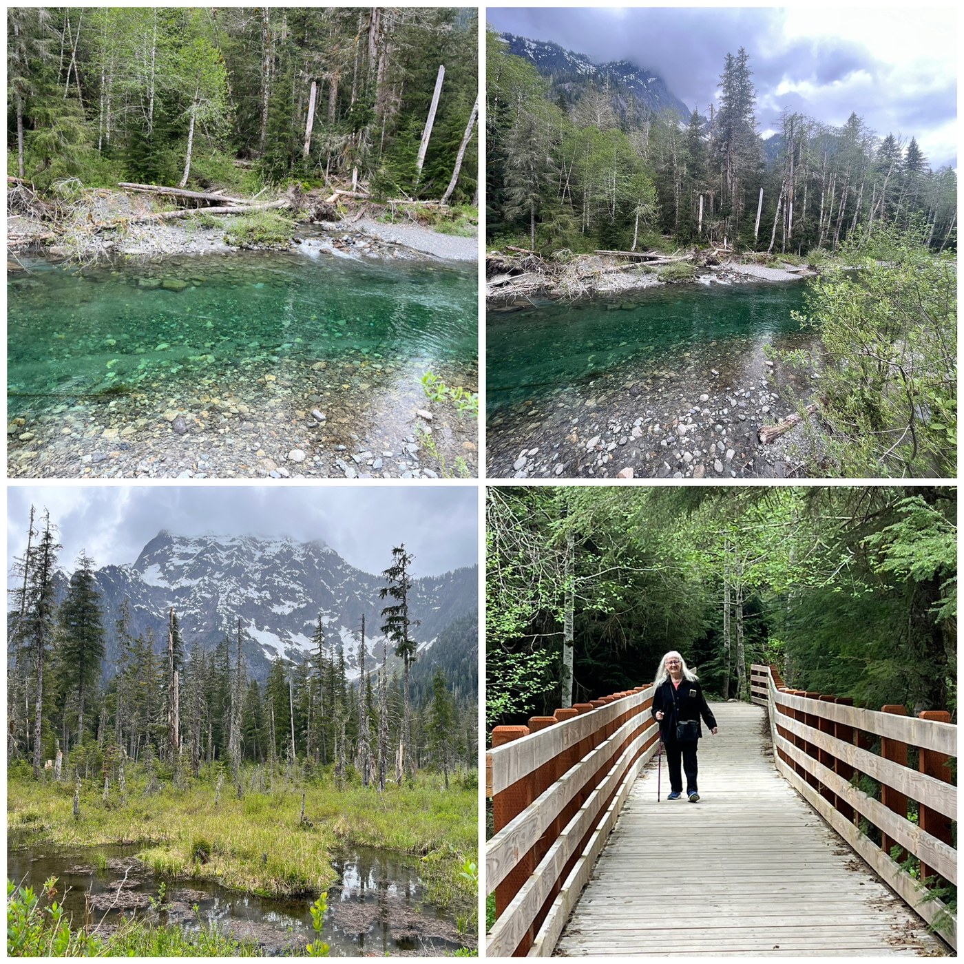 Big Four Ice Caves — Washington Trails Association