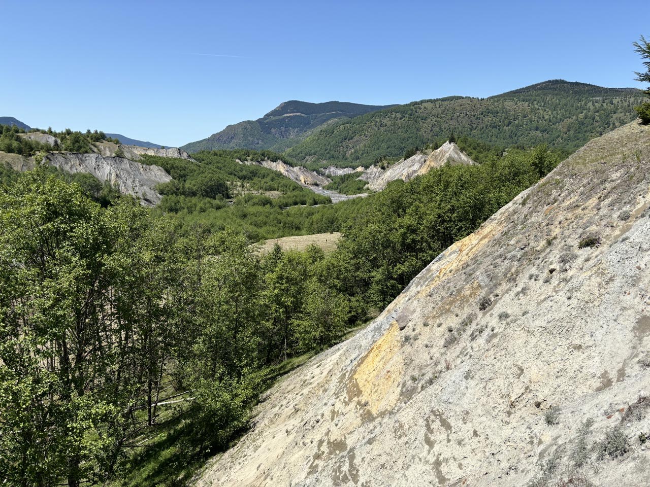 Hummocks Loop, Hummocks Trail — Washington Trails Association