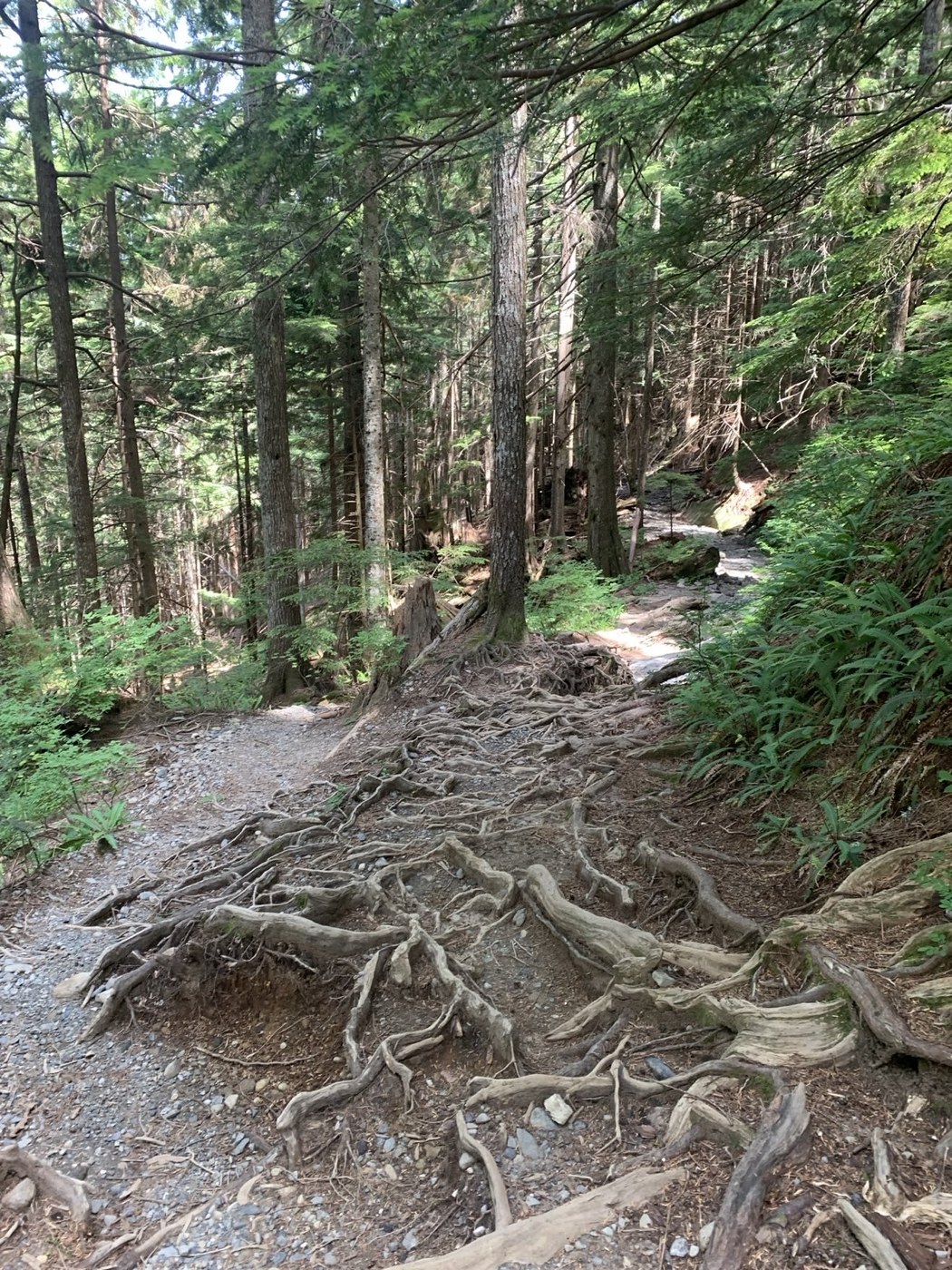 Heather Lake — Washington Trails Association